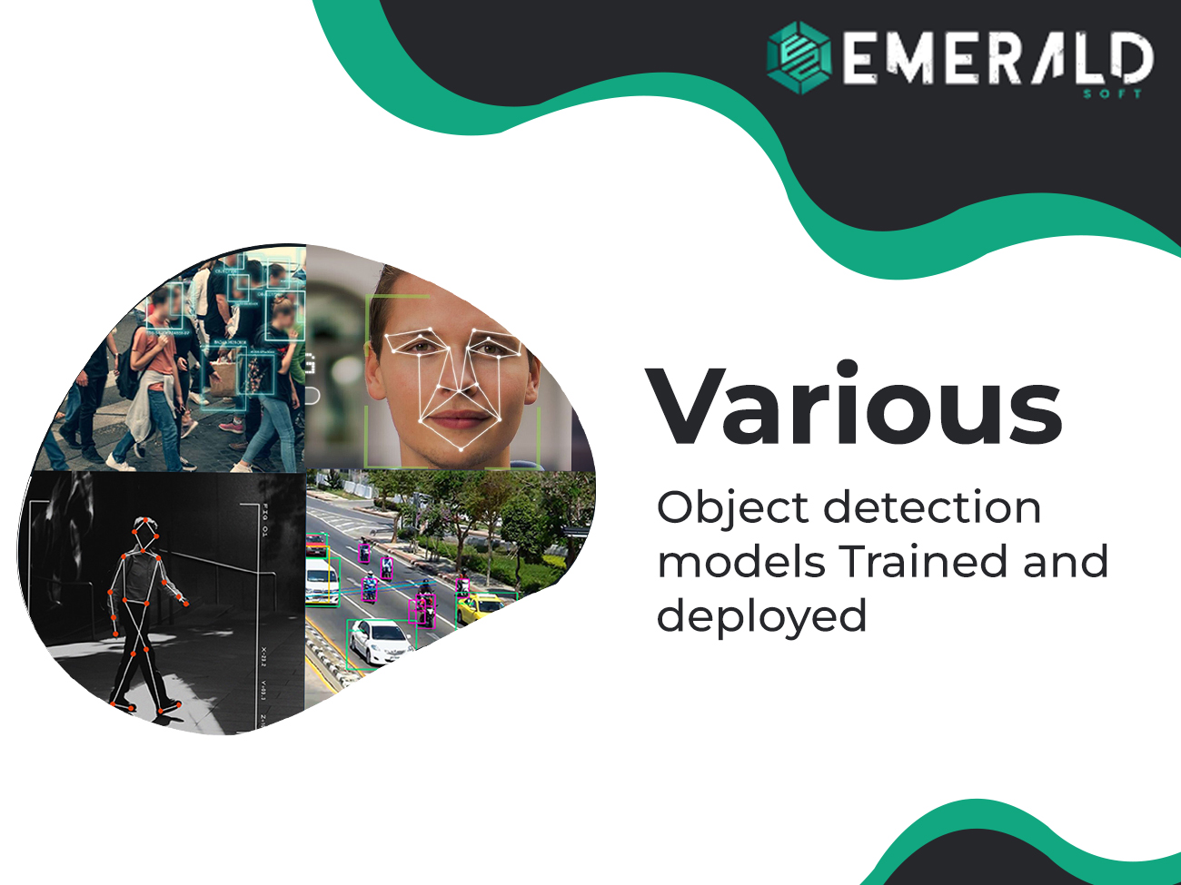 Emerald Soft | Hire Software Experts