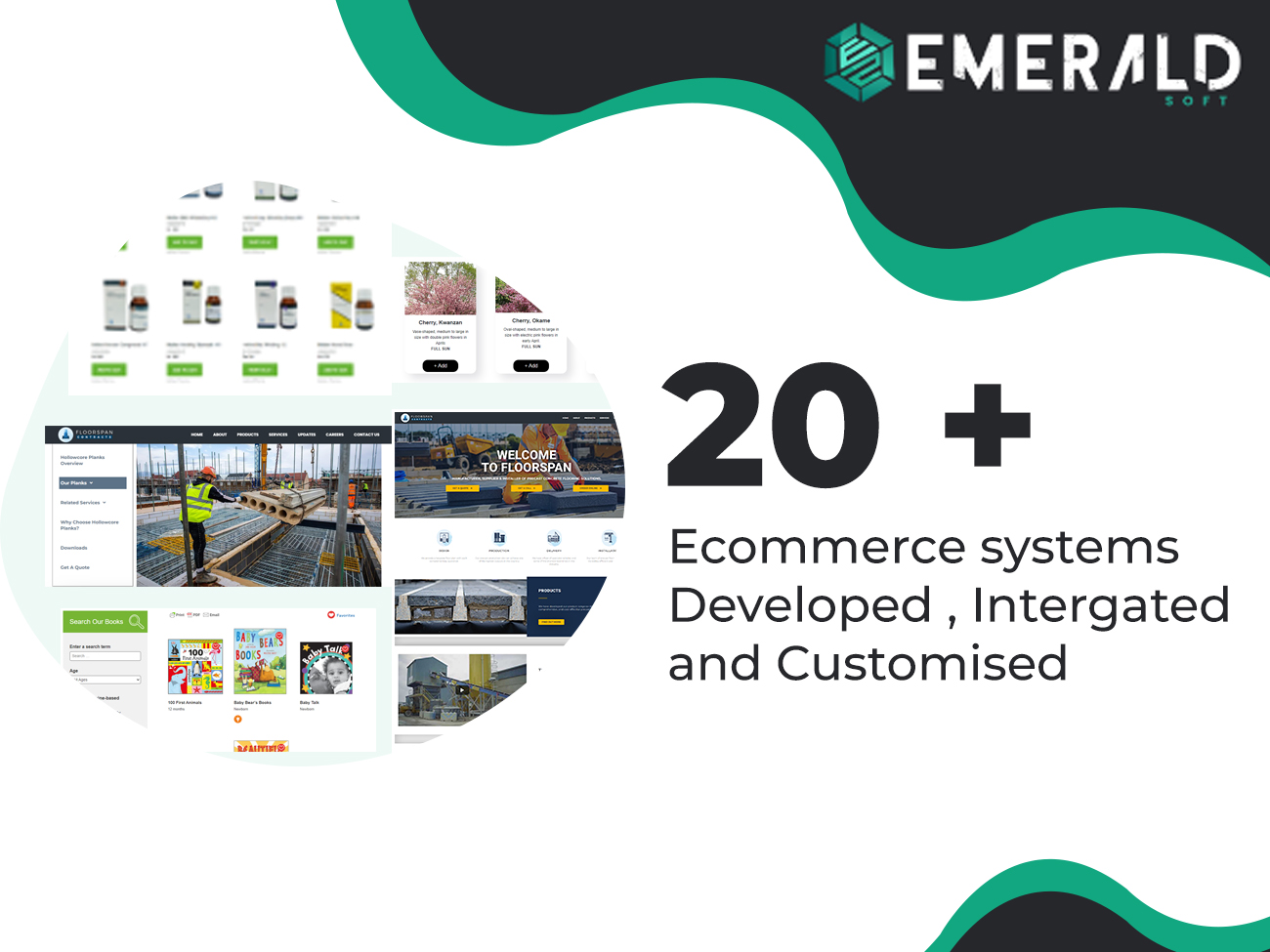 Emerald Soft | Hire Software Experts