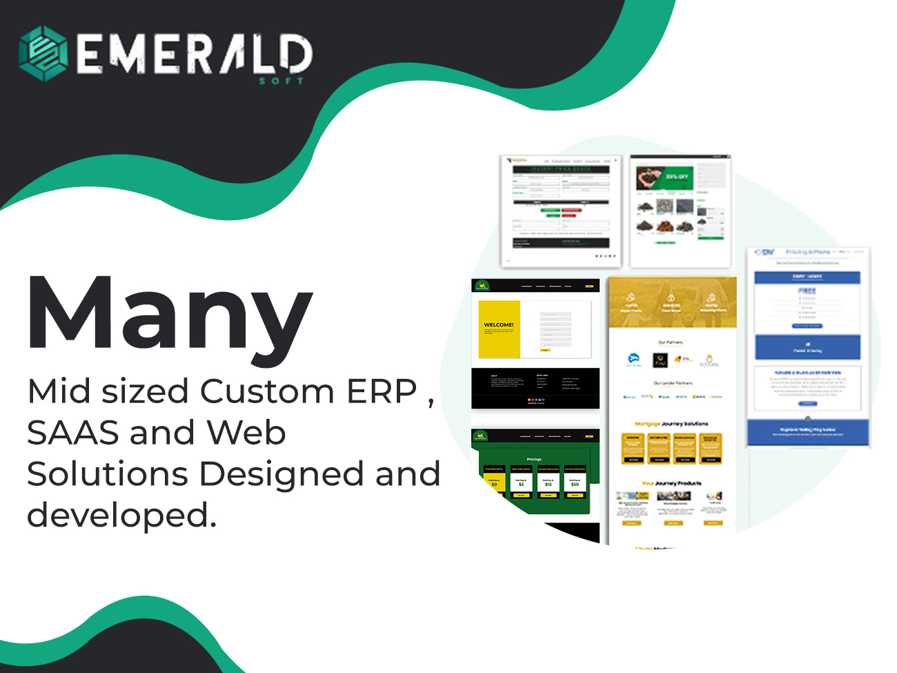 Emerald Soft | Hire Software Experts